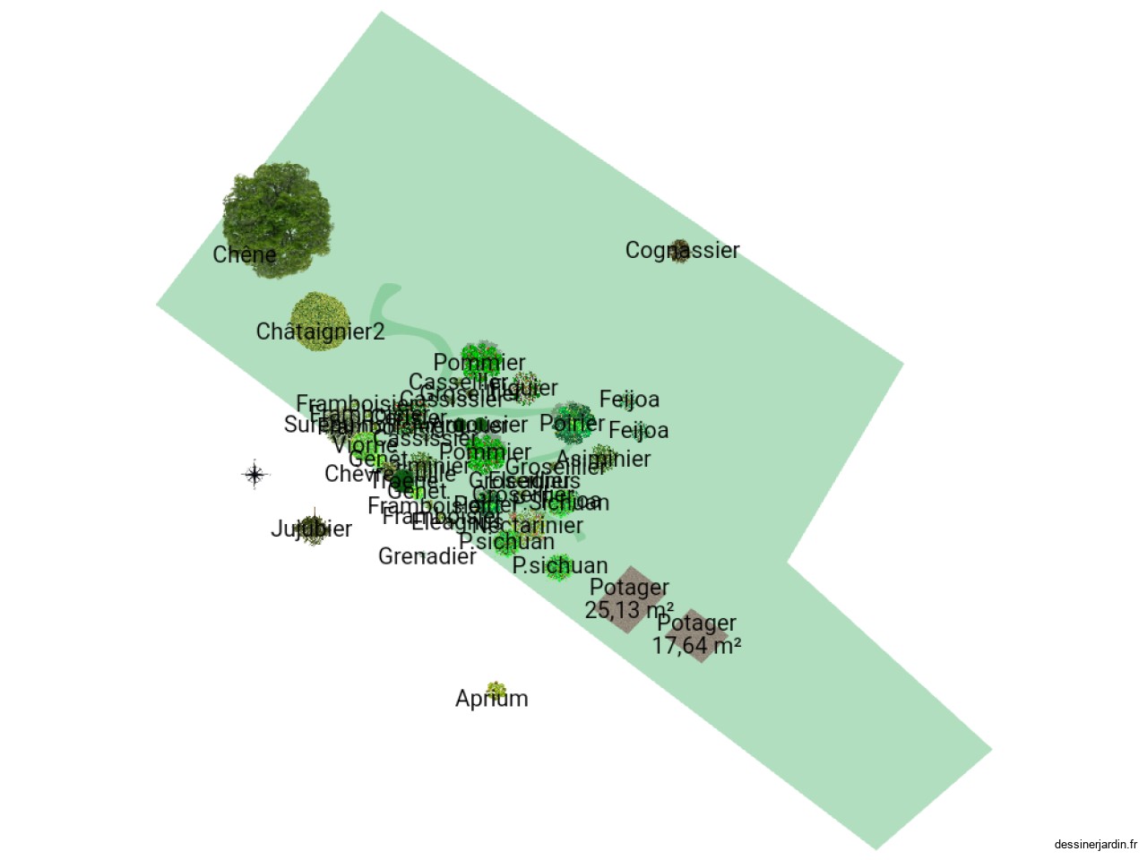 Jardin forêt dessiné par wwwju