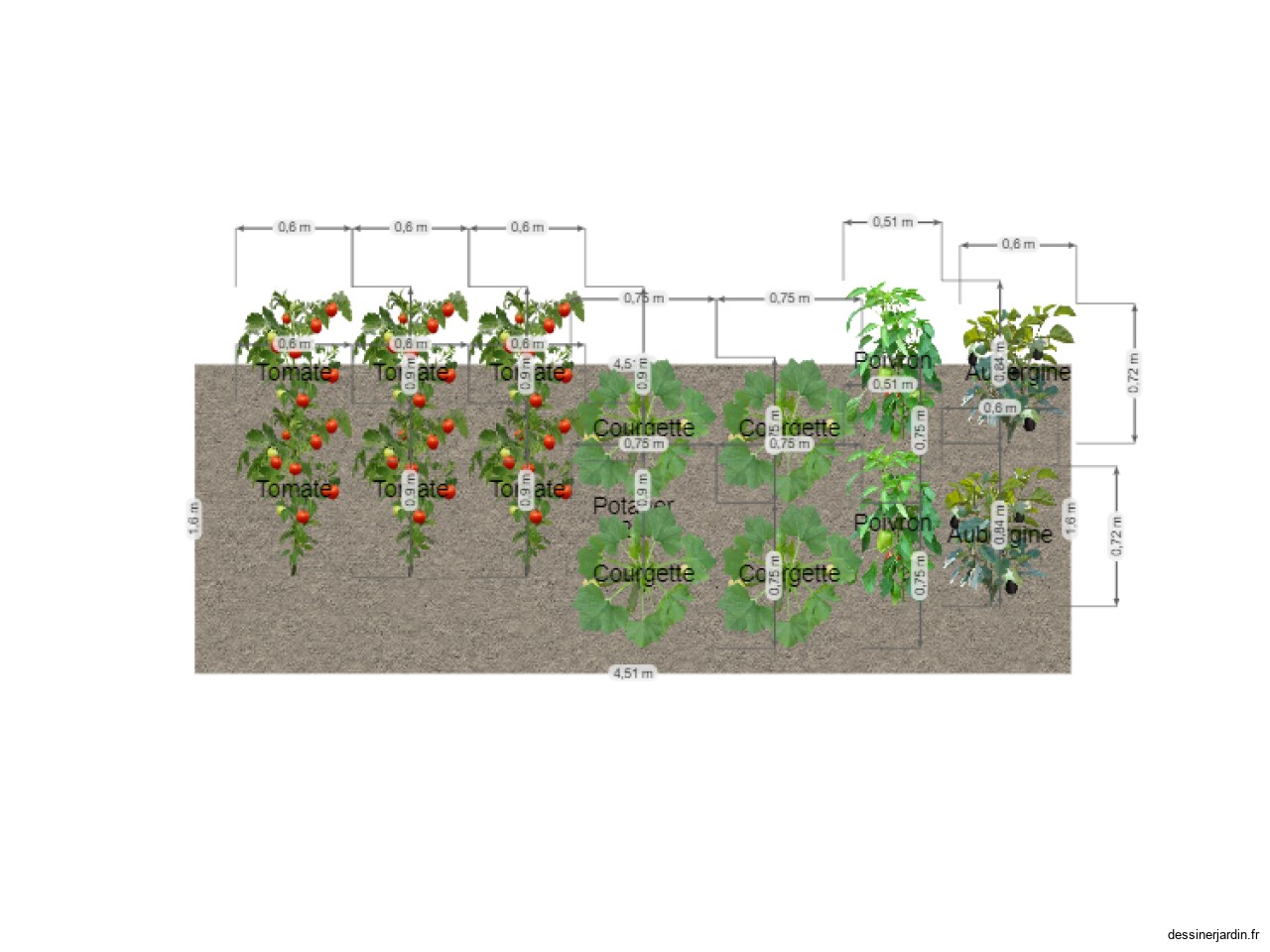 Mon potager dessiné par jdcs